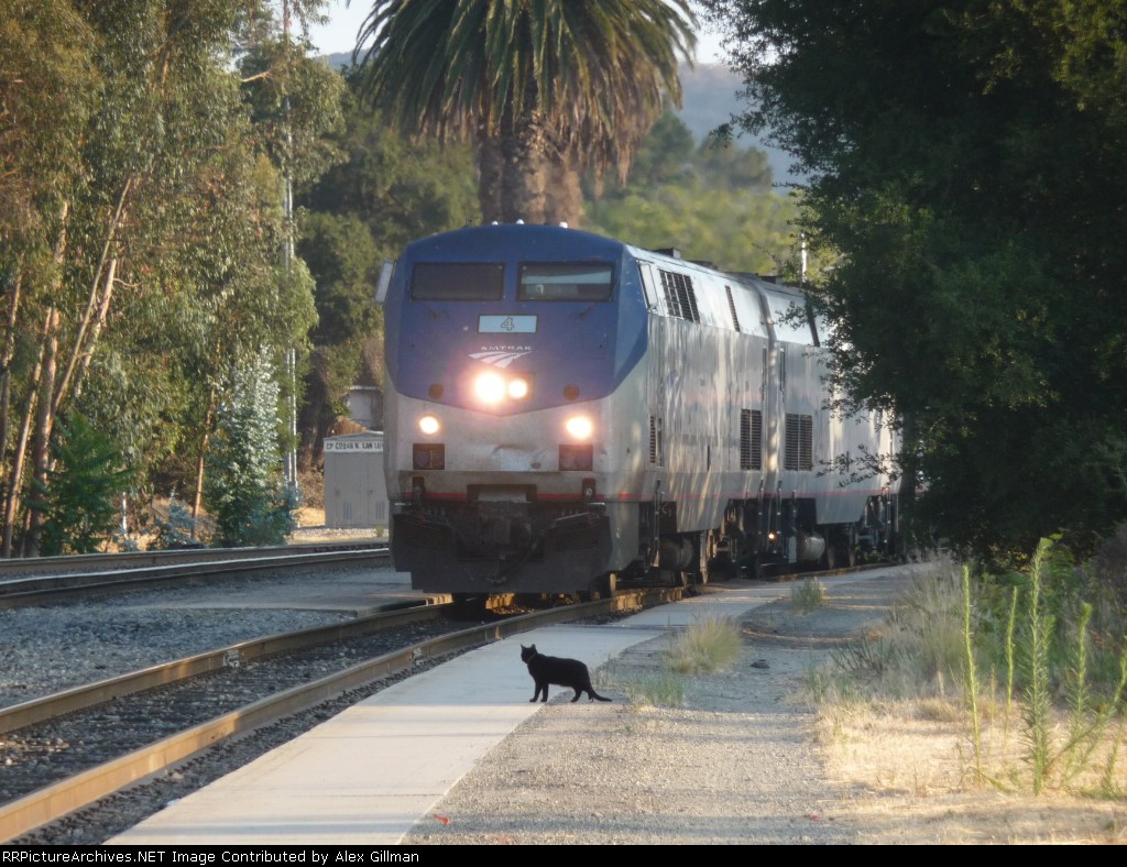 Amtrak 4 North, With Black Cat